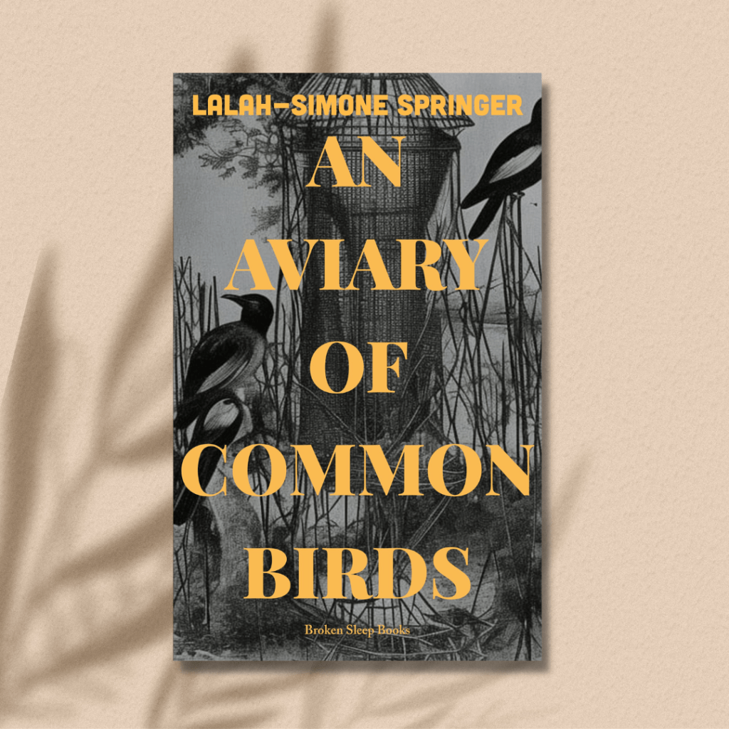 Poetry: Lalah-Simone Springer – Housmans Bookshop