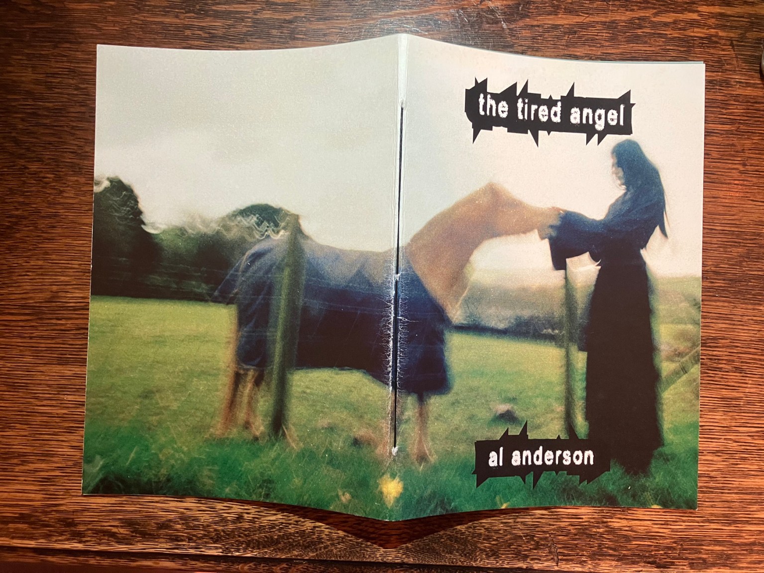 The Tired Angel – Housmans Bookshop